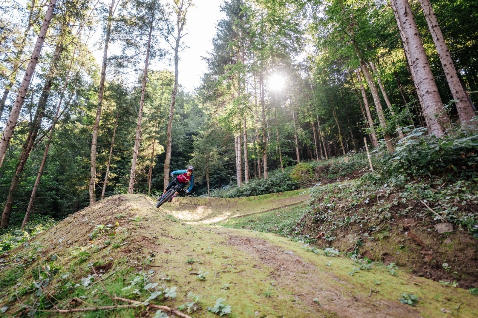 Van Duren Trail - T71